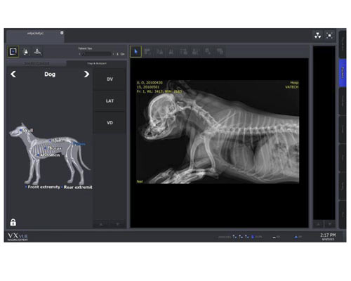 Veterinary X-Ray Equipment